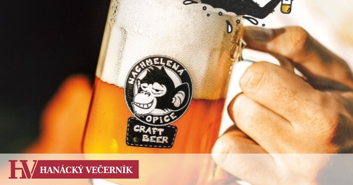 Tradiční olomoucký Beerfest je po dvou letech zpět | Hanácký Večerník | Zpravodajství z Olomouce ...